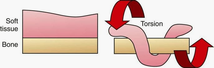 Sandy Fritz: HOW TO DESCRIBE WHAT WE DO.