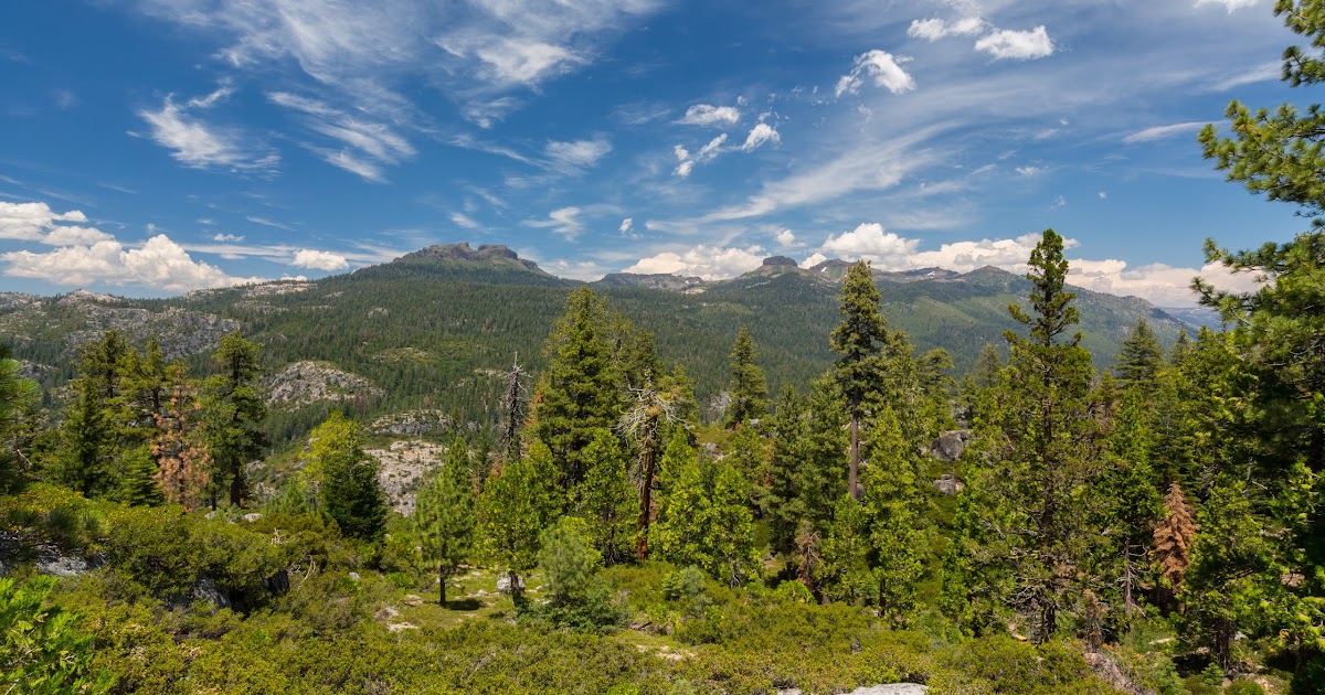 Naturetastic Blog: Donnell Vista, Sonora Pass, SR-108 (Part 5 ...