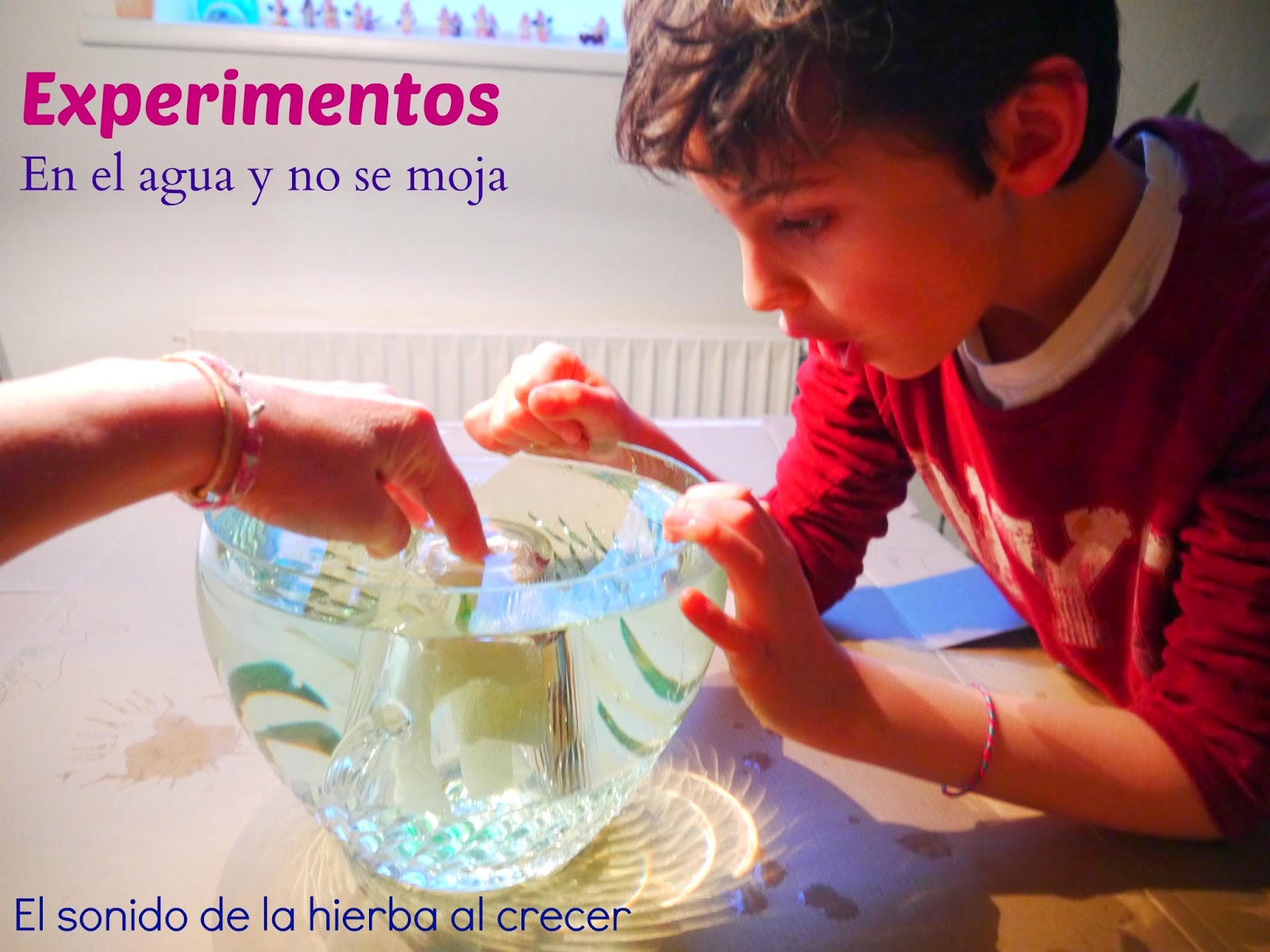 Experimento: el aire ocupa lugar - El Sonido de la hierba al crecer