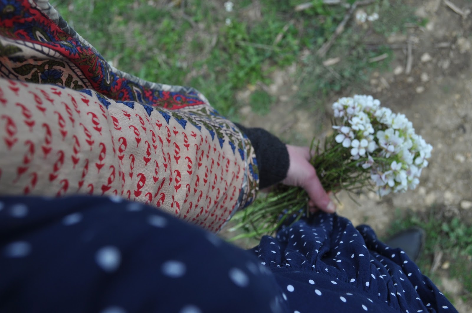 ALIX of BOHEMIA: RAGGEDY AND THE FOX IN FRANCE