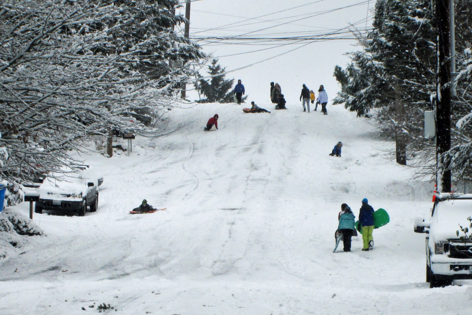 Shoreline Area News: Photos: Snow gallery