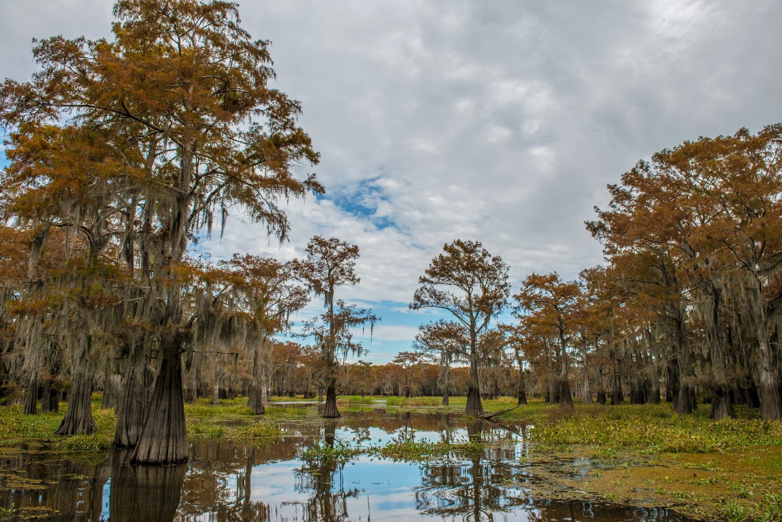 Ben Davis Photography: Louisiana: Swamps 'n Strippers