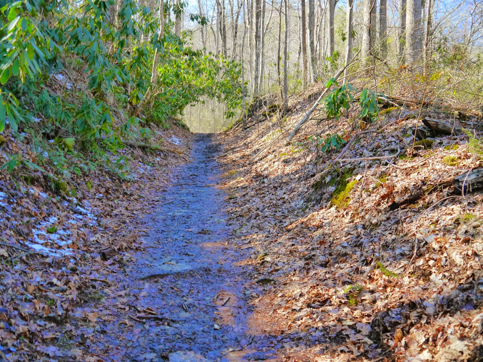 American Travel Journal: Little River Trail - Great Smoky Mountains ...