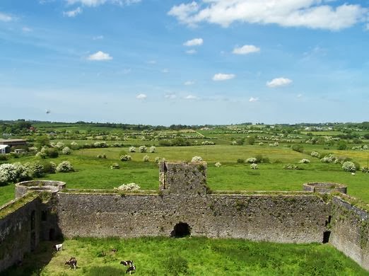 bensozia: Today's Castle: Liscarroll, Ireland