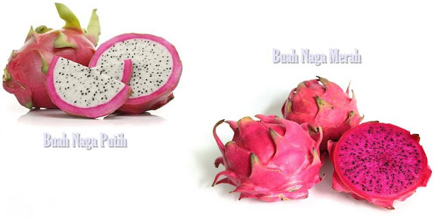 Manfaat / Khasiat Buah Naga Merah untuk Kesehatan - Menit info