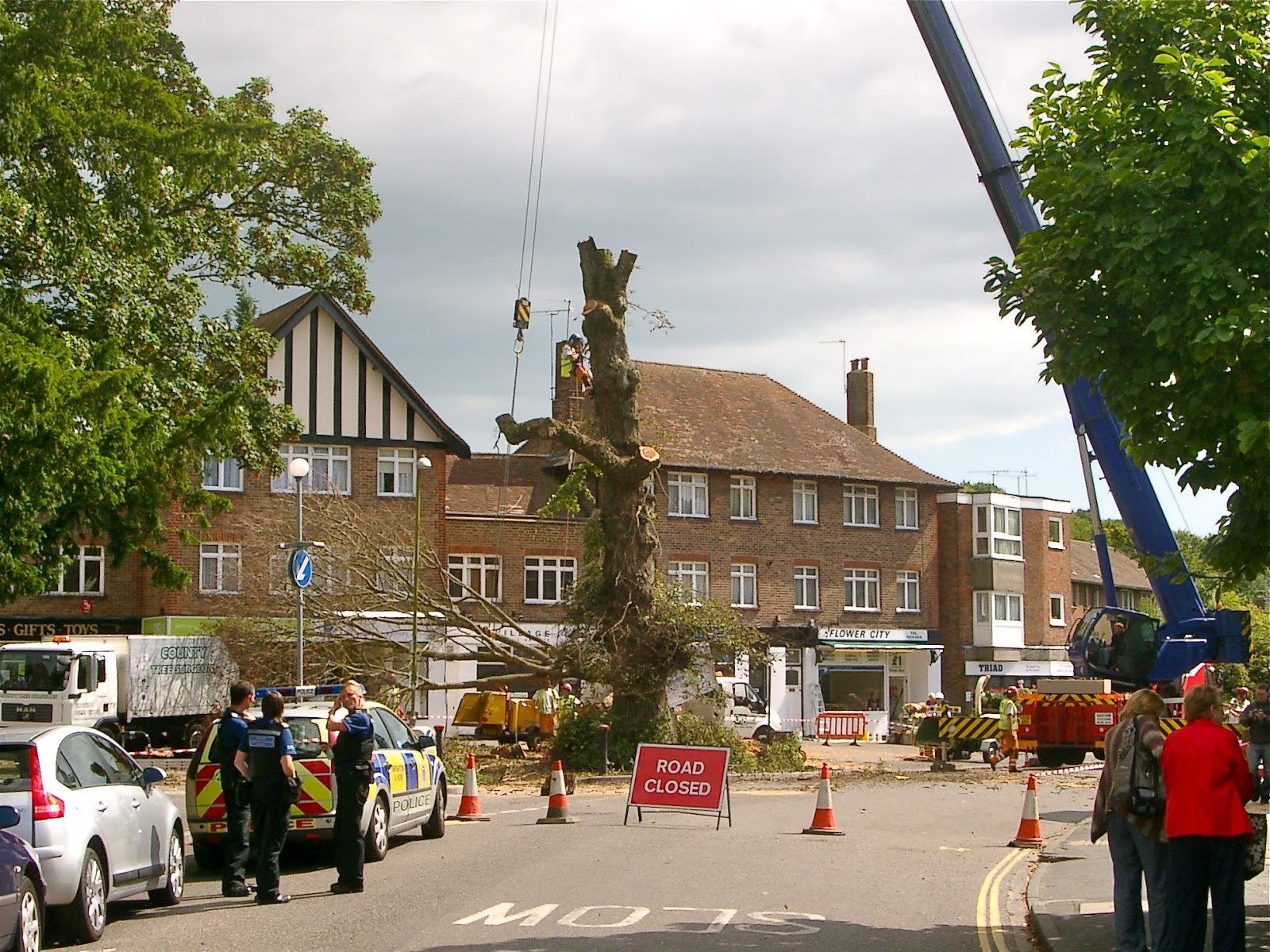 #Brighton Bits: "The Elms", Patcham Village