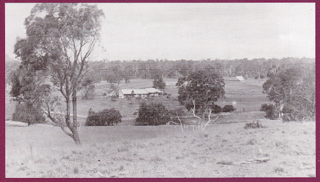 Old Images of Rylstone District: Bogie Farm