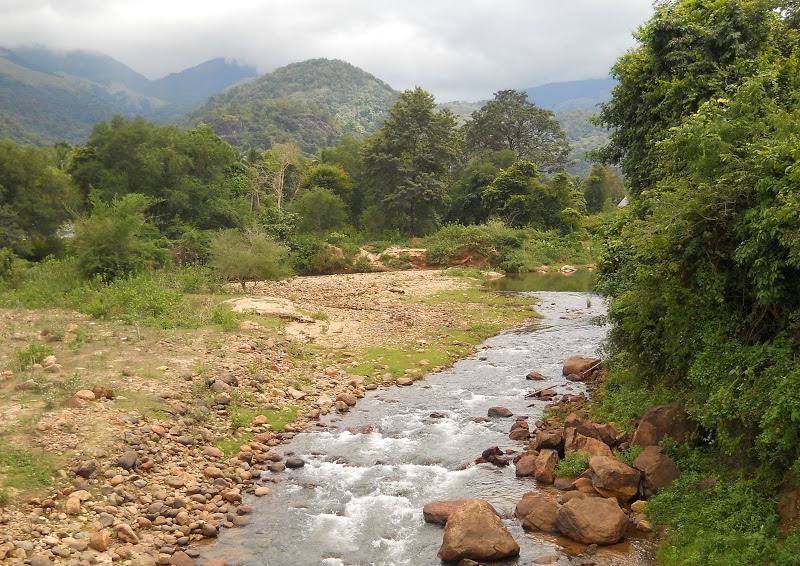 Tamilnadu Tourism: Kalikesam Forest & Waterfalls, Kanyakumari