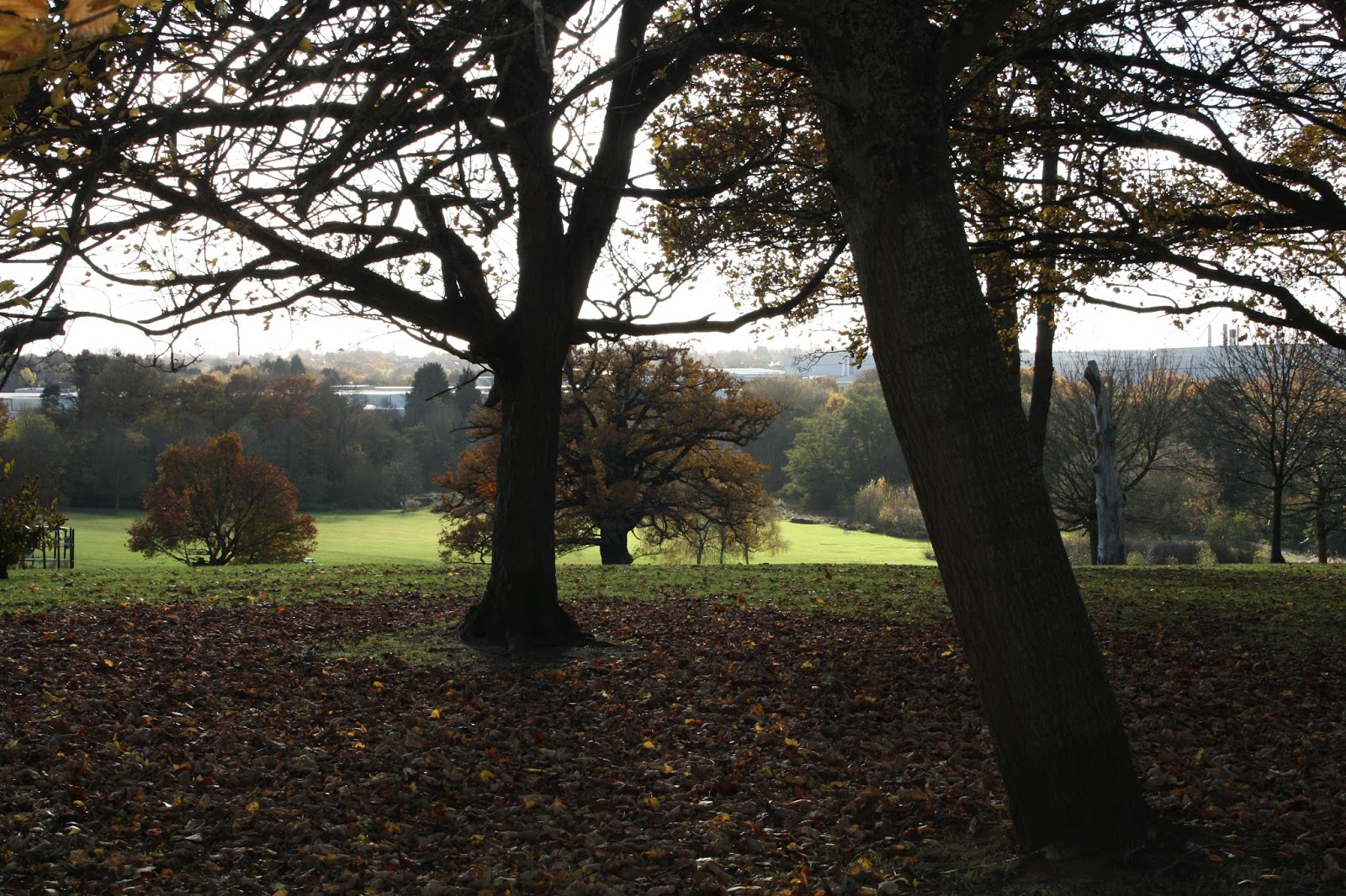 LIFESTYLE:OUR FAVOURITE HIDDEN GEM -ELMDON PARK - PRETTY YOUNG THING