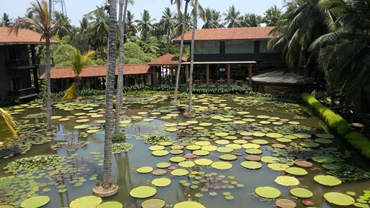 Dindi Resorts, Andhra Pradesh, India. ~ AMARAVATI TOURISM