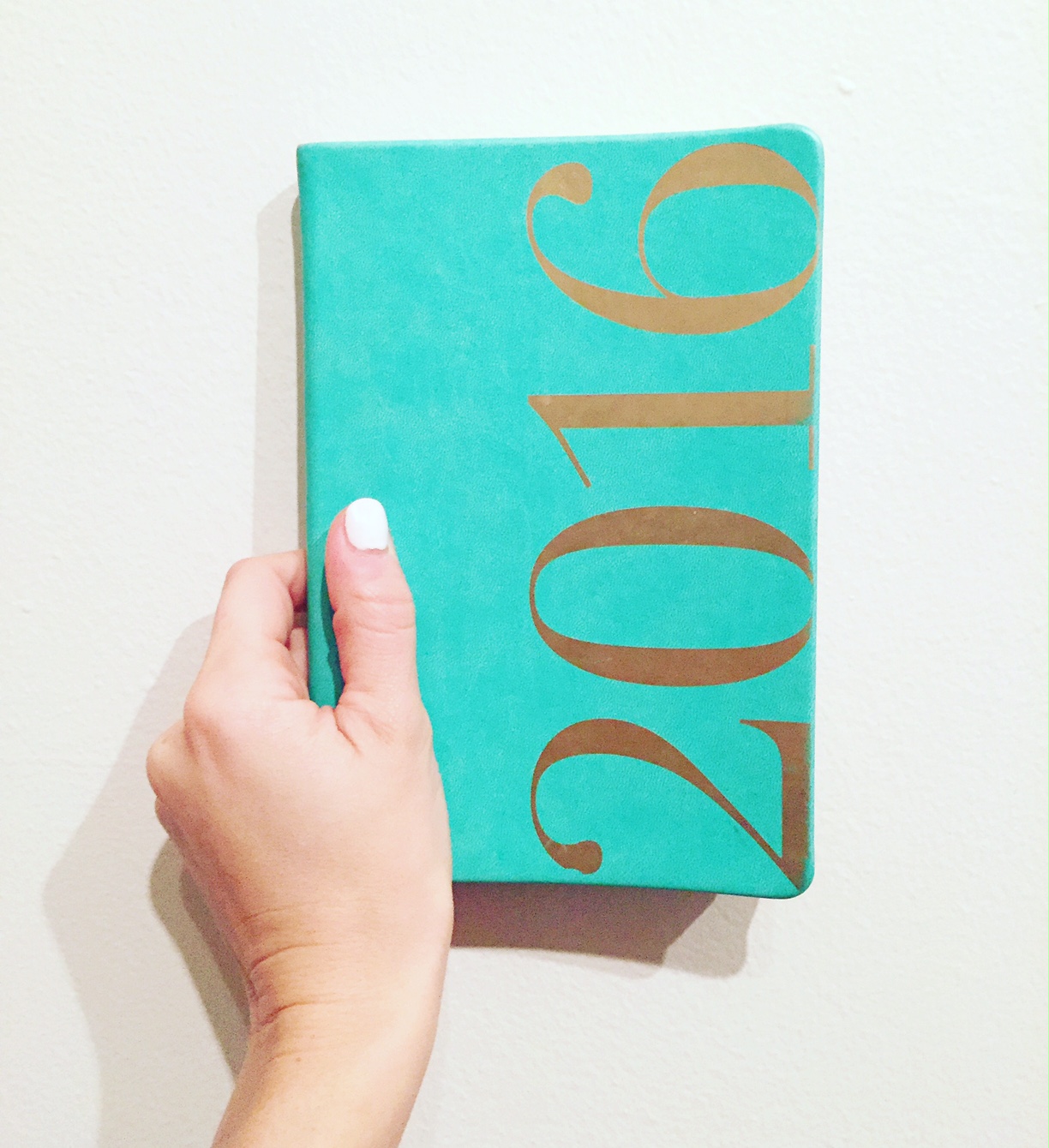 15 Things To Focus on in 2016 – THE DAILY TAY