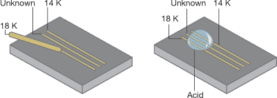 Ernie's Place: Gold! Crystals?