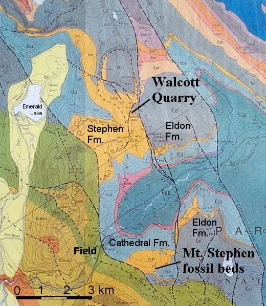 Scientific Inquiry: Burgess Shale