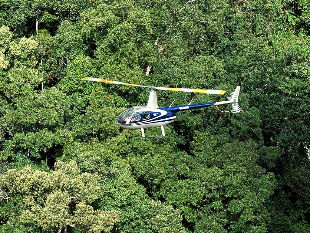 ALL DESKTOP'S WALLPAPERS: Helicopter over the forest wallpaper