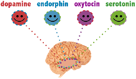 Yoga My Life: Pleasure is a Chemical Reaction Only