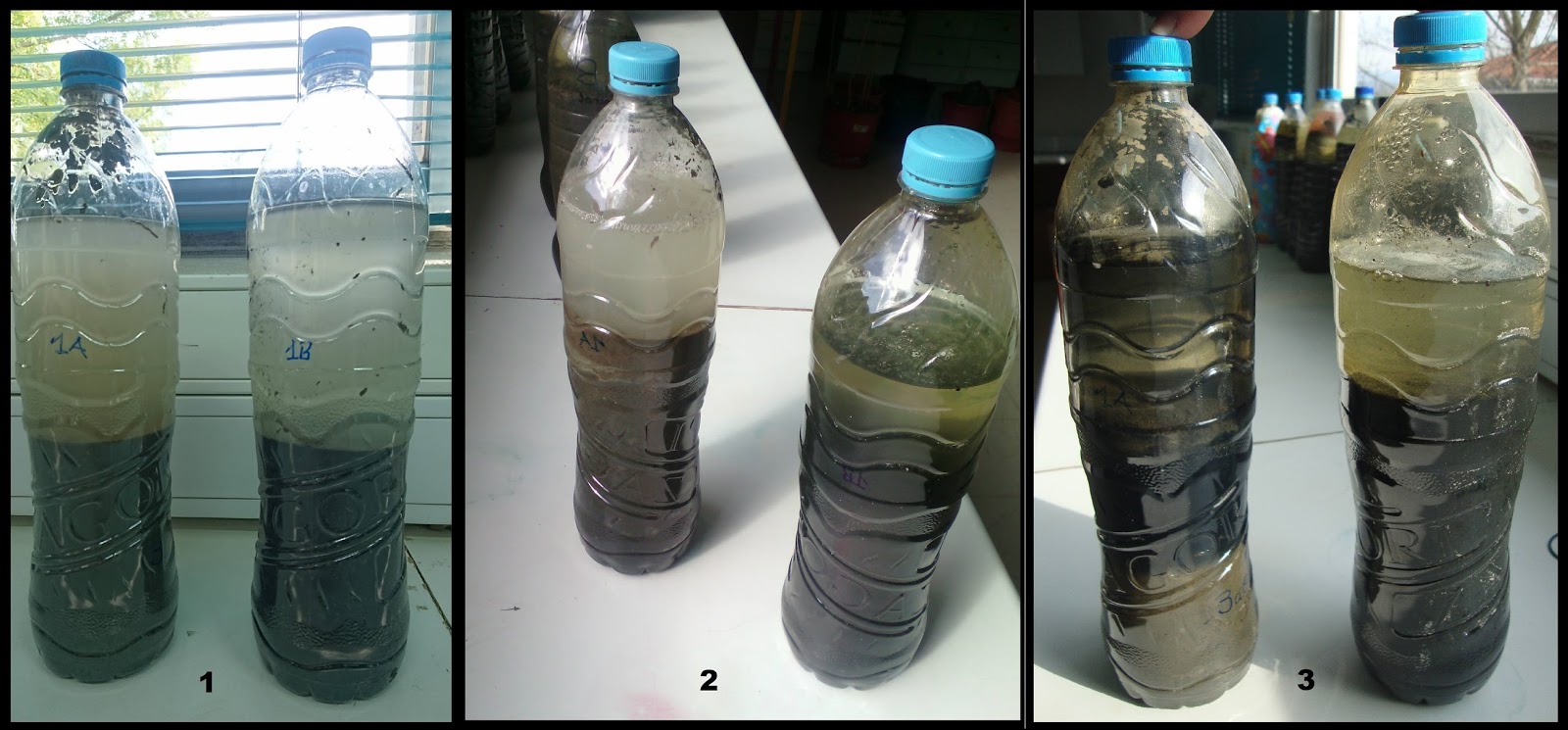 Winoblog: Winogradsky Column - Sediment depth hypothesis