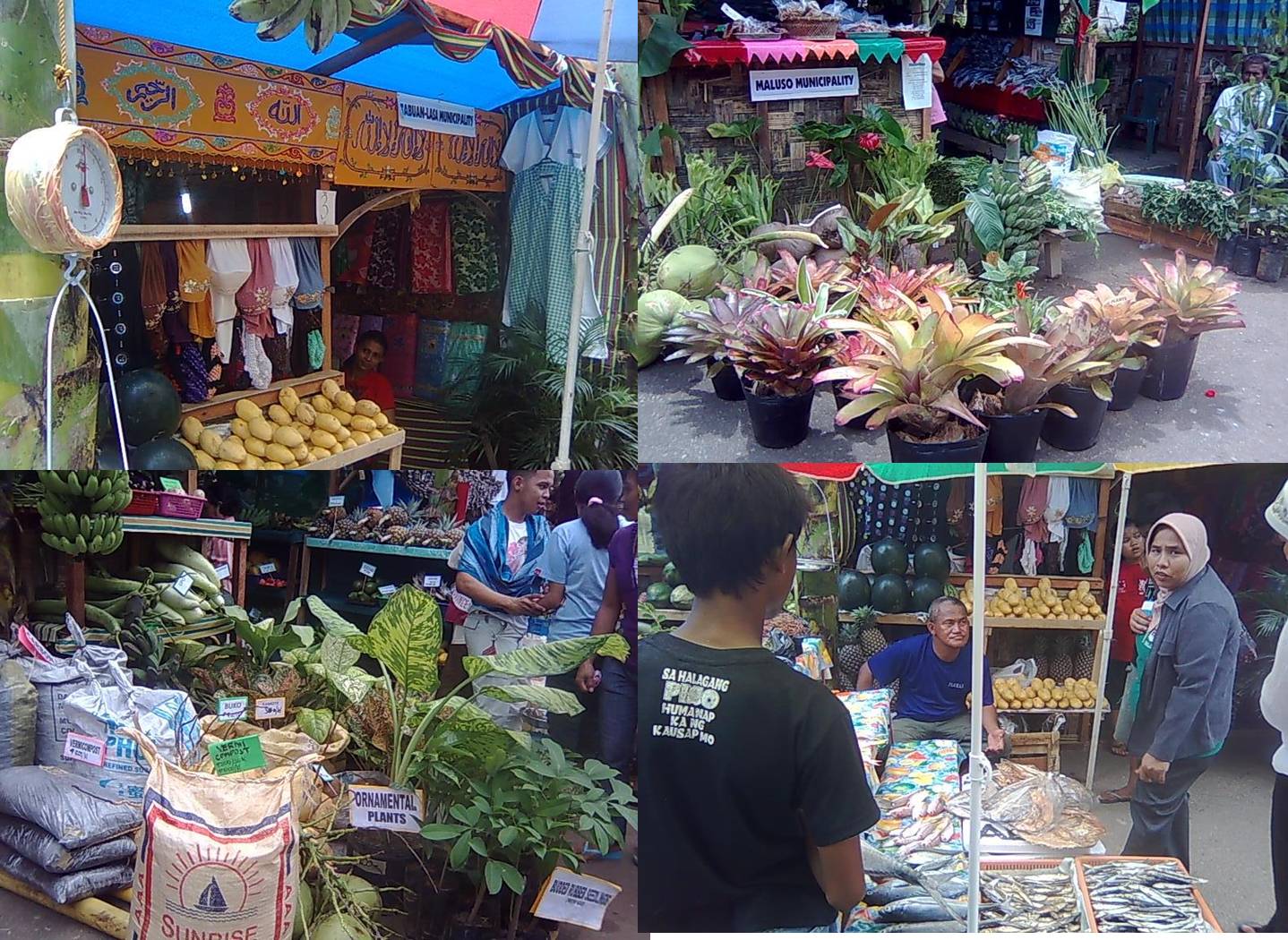 PIA Western Mindanao: Pakaradjaan: Basilan’s festival of solidarity