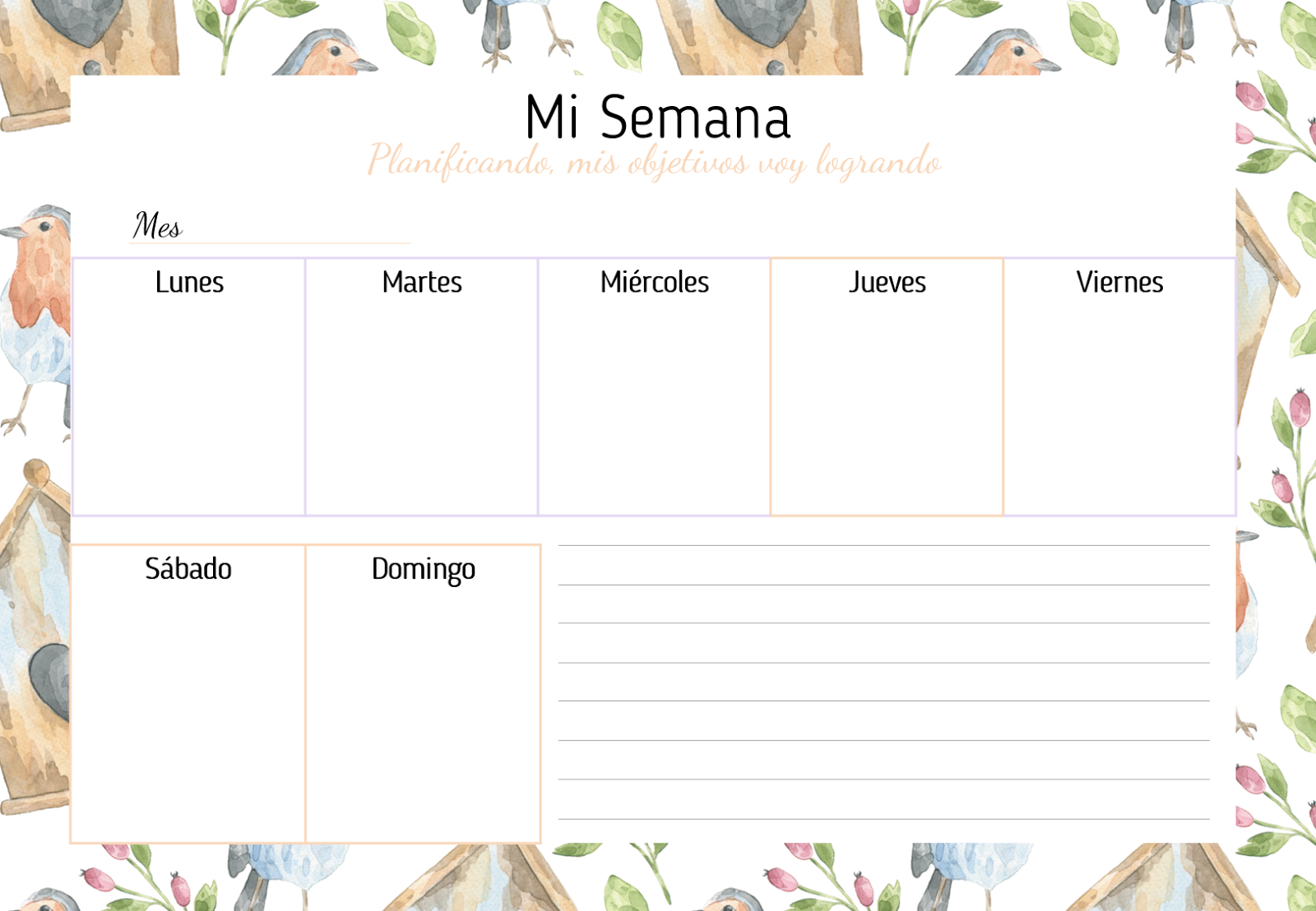 ORGANIZADORES SEMANALES A4