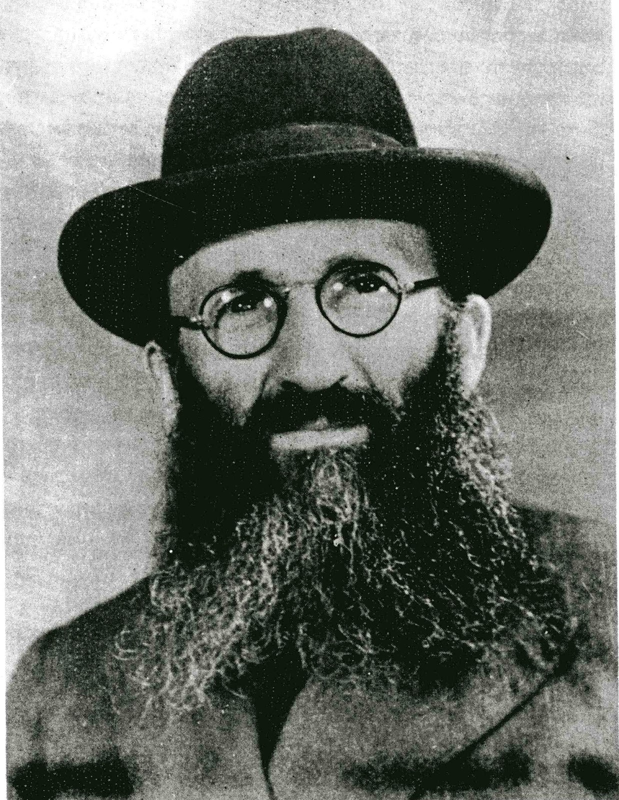 Olive Seedlings - שתילי זיתים: V'Zos HaBracha - Torah is for Every Jew