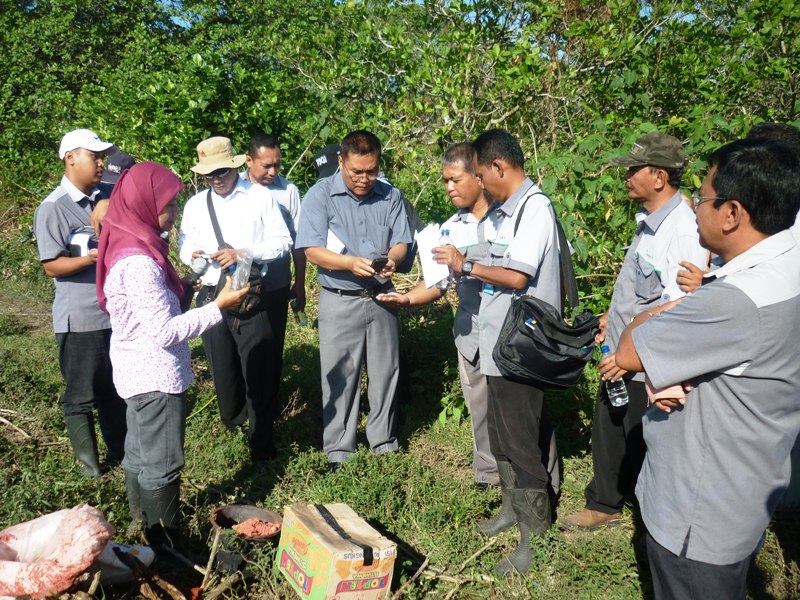 Kendalikan Hama Uret Untuk Tingkatkan Produktivitas ~ Pusat Penelitian Gula