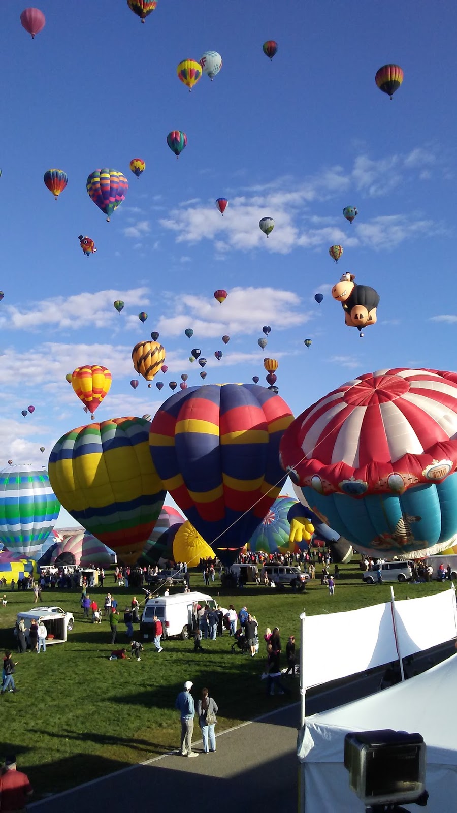 "These opinions are my own and I received a gift certificate from ...