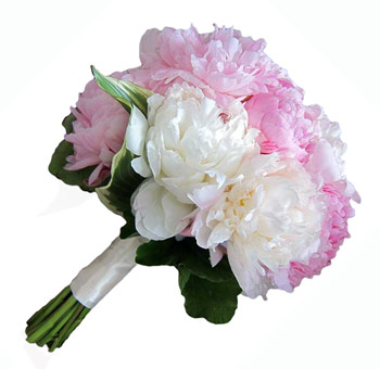 Imported Flowers In Delhi