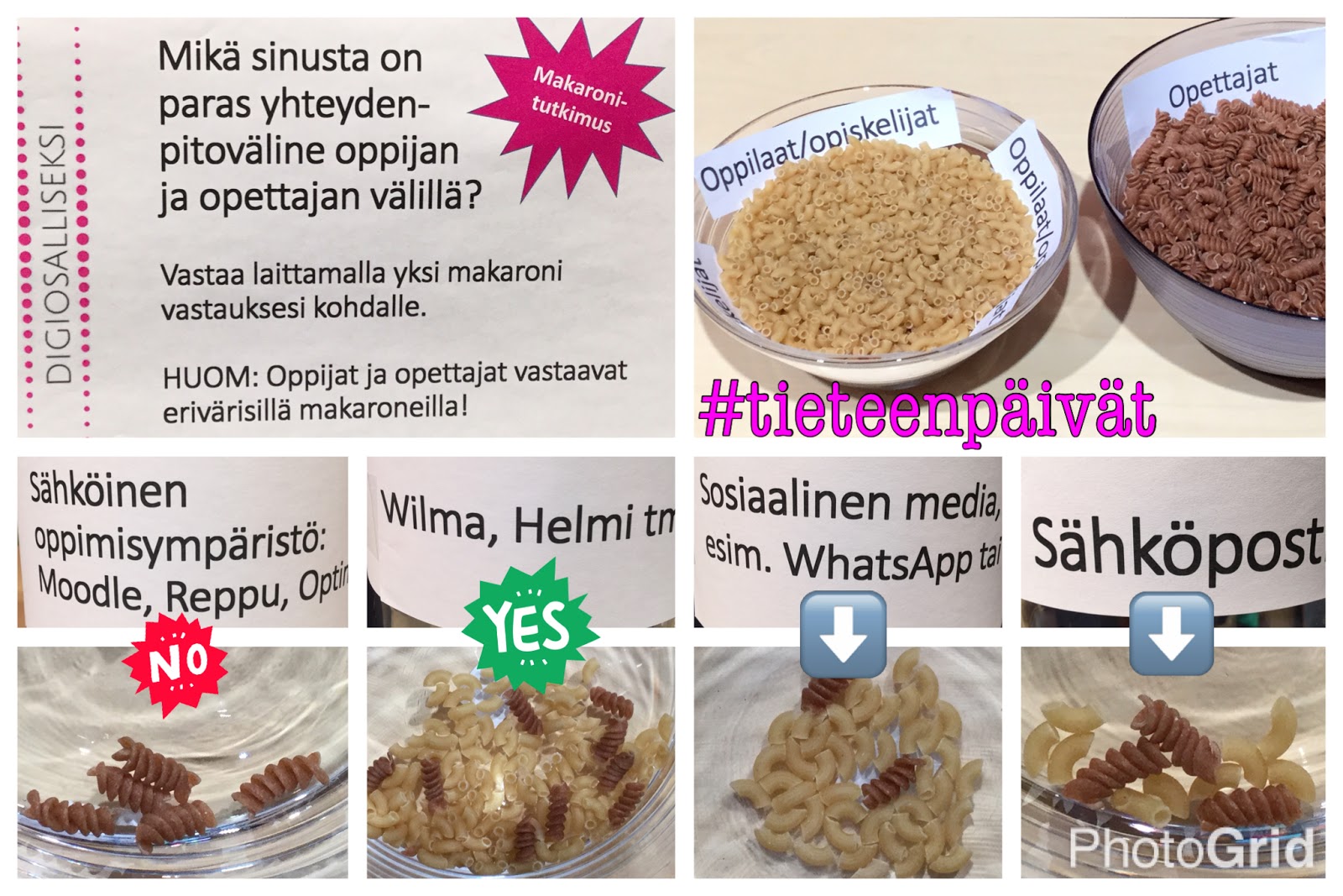 matleenan-blogi-tieteen-p-ivien-makaroni-gallup