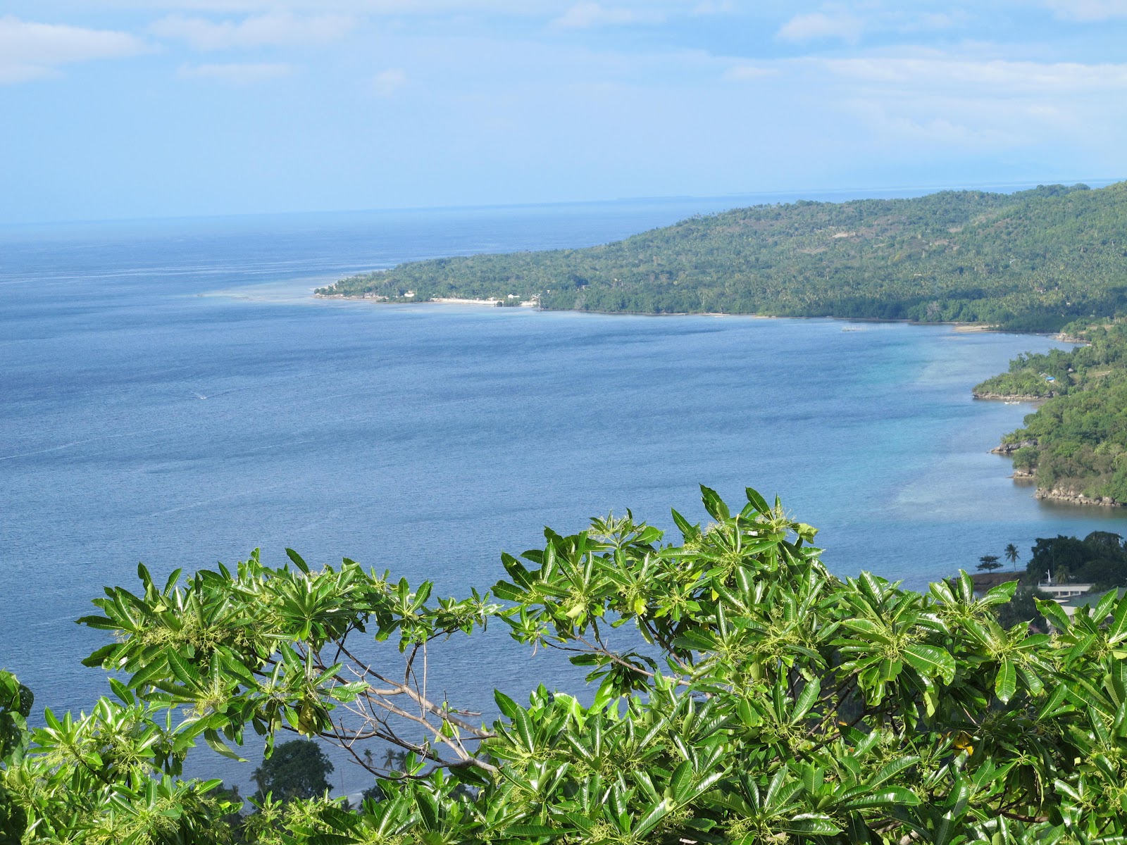 stressed in the city: Great Views at Larena Triad