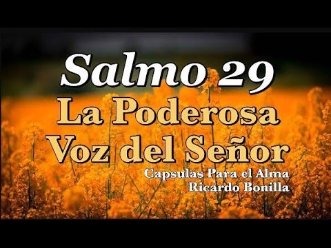 Salmo 29 - Salmos