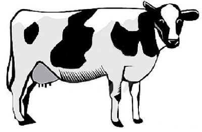 Planse de colorat si fise pentru copii: VACA - IMAGINI cu Animale ...