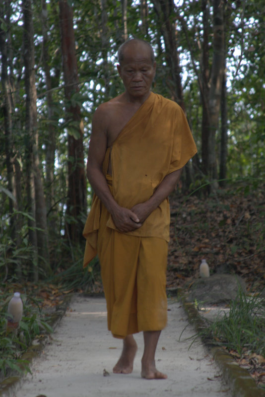 Avoiding the Red Light: Forest monks