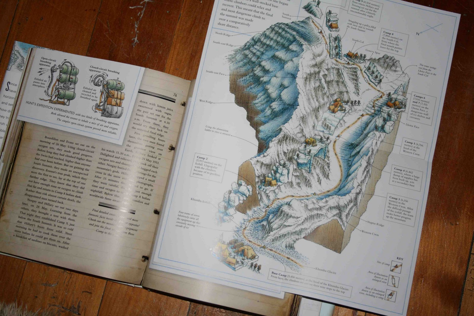 Literacy, families and learning: Cross-section books and why boys love them