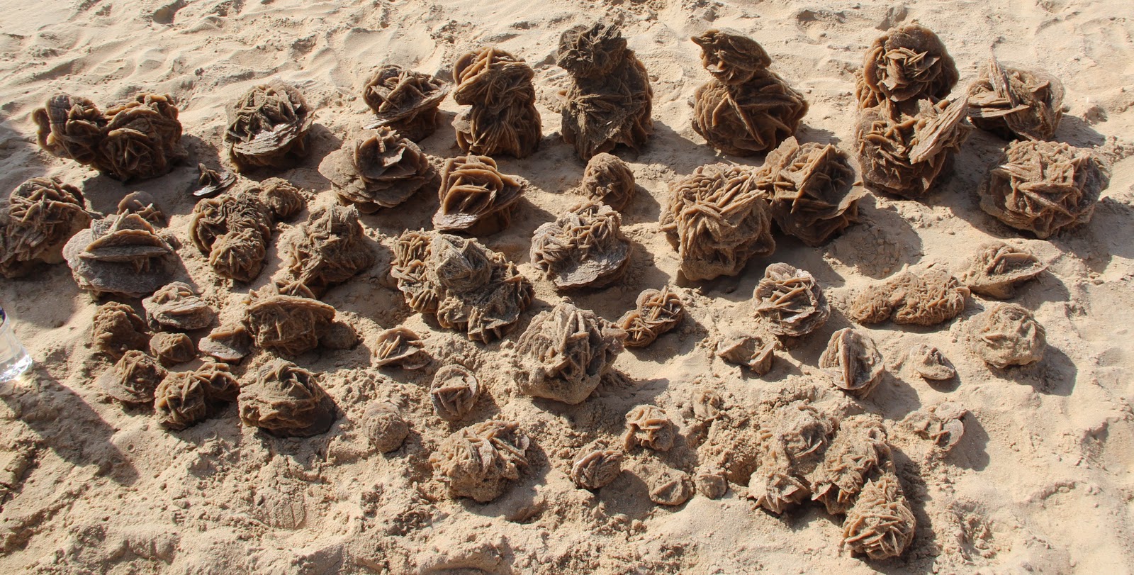 Saudi Scenes: Sand Roses