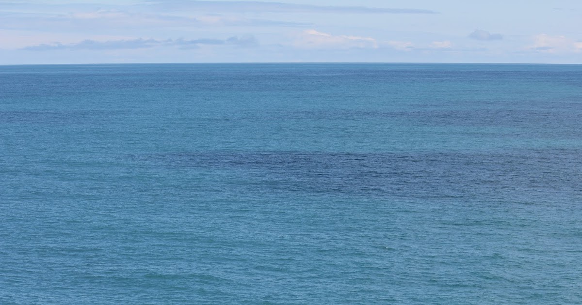 CRUISE LIKE A DAVIS : A Legendary Trip North to Alaska- Sea Day #1