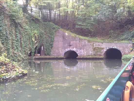 Darley's Daily Dawdle