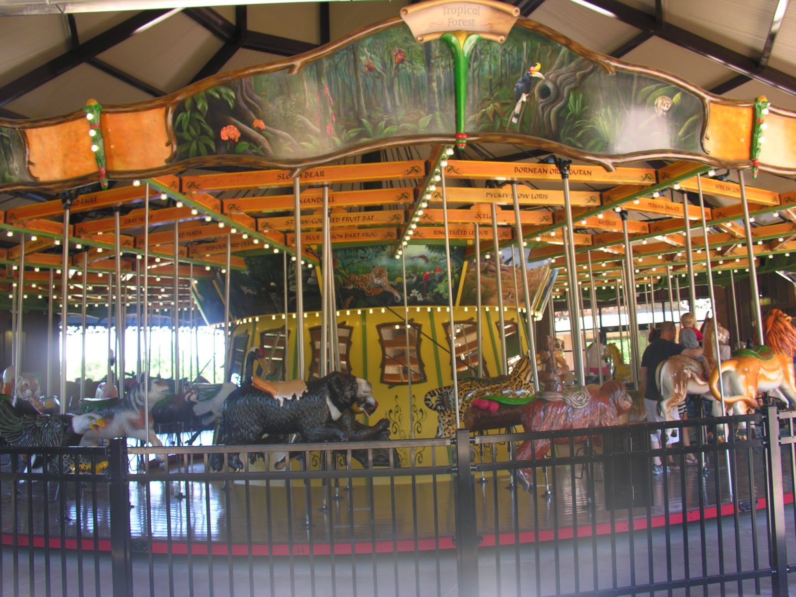 Fun Day at the Cleveland Zoo! - a day in the life of a mom