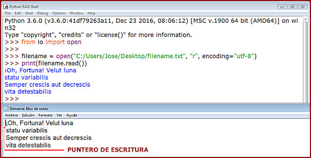 APRENDER A PROGRAMAR CON PYTHON: CREAR, ABRIR Y ESCRIBIR ARCHIVOS