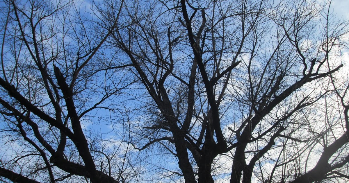 THE HUNTER OF SOULS: Scufiţa Moşie şi Lupul