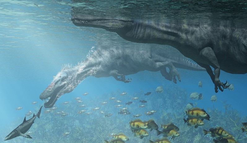 Species New to Science: [Paleontology • 2010] Oxygen isotope evidence ...