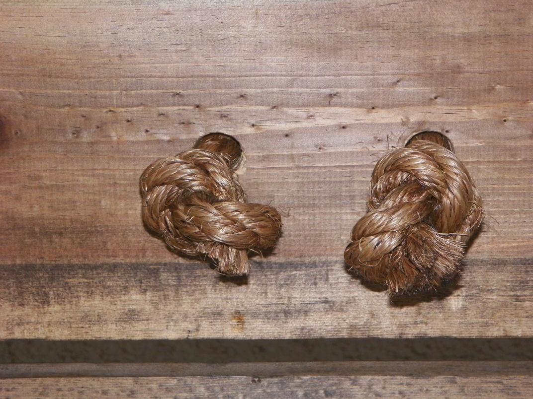 Everything in Between: The Toy Box