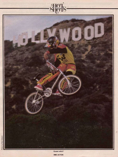 REGULAR CYCLIST: Hollywood Miranda