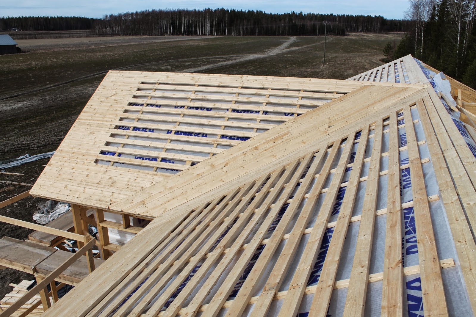 Italianpunainen paritupa: Aluskate ja ruodelaudoitus