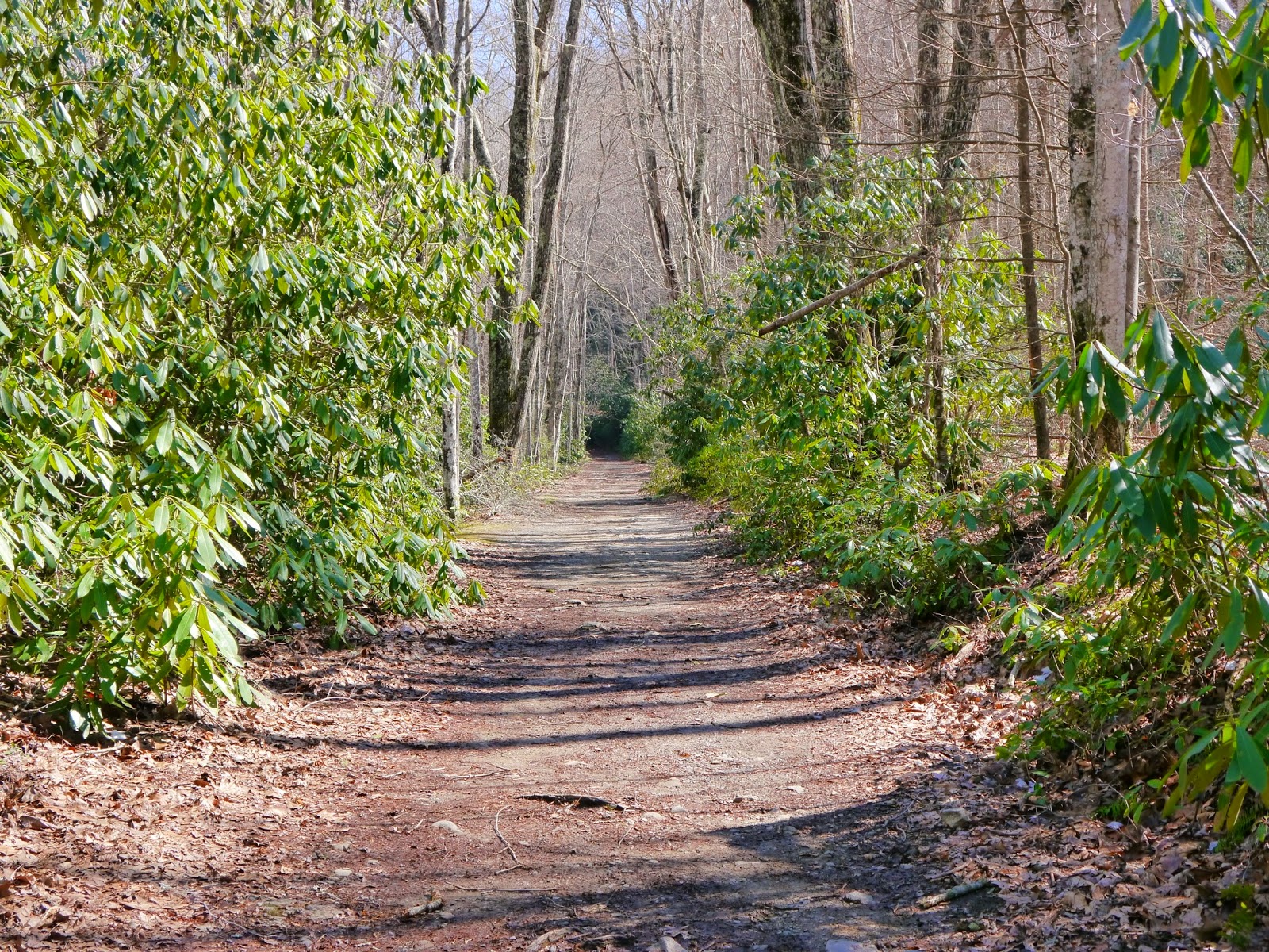 American Travel Journal: Little River Trail - Great Smoky Mountains ...