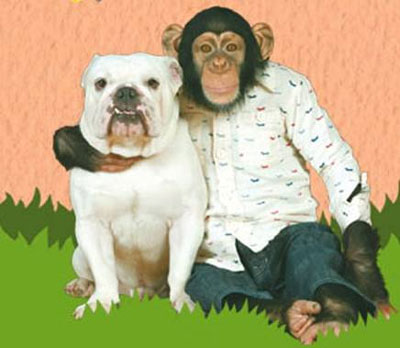 i love animals: Pan Kun ( Smartest Monkey Ever )