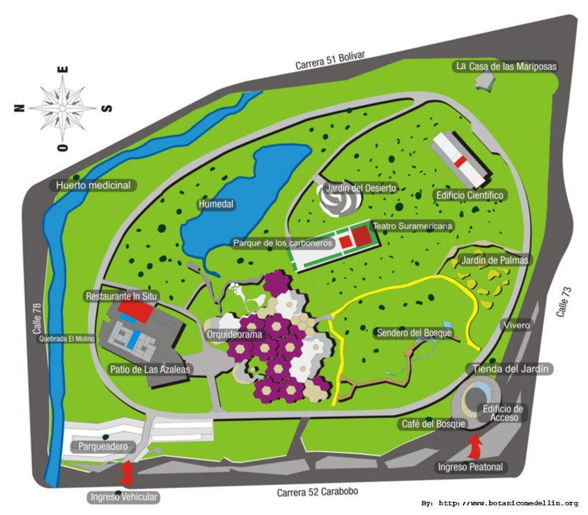 Un encuentro con la naturaleza: Jardín Botánico de Medellín