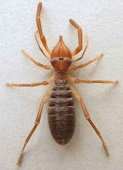 X-Acto Science: Miniatures for Modern and Post-Apoctalyptic RPG's ...