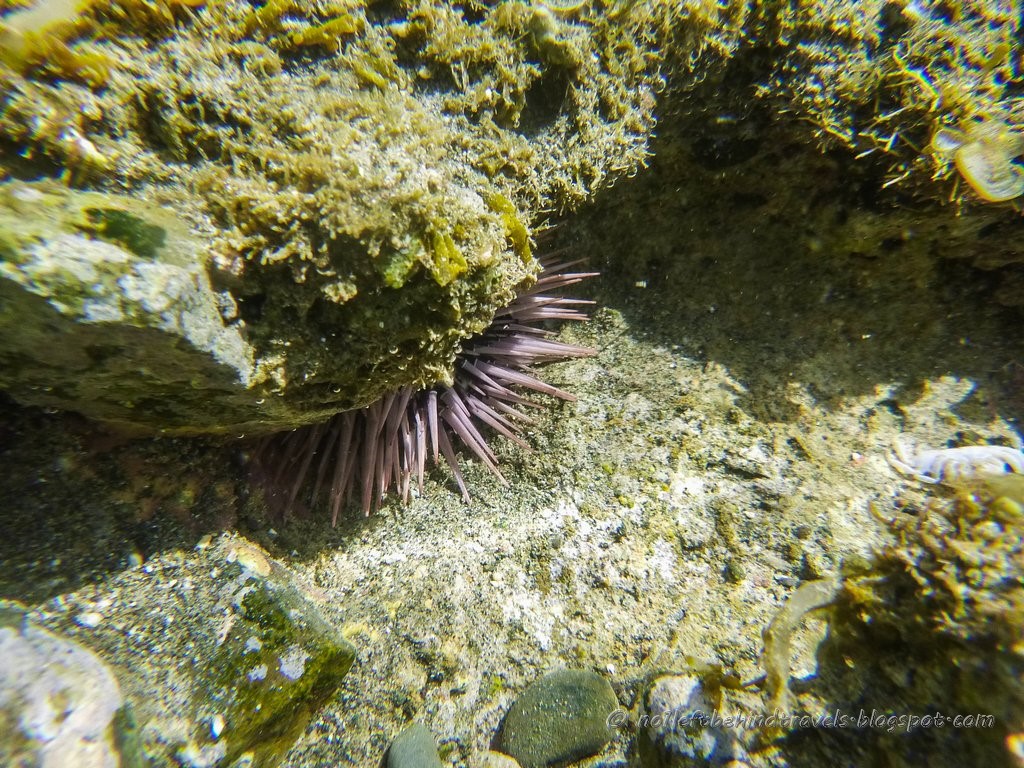 No one left behind: The Dingalan Redemption - Day 2: Matawe Beach