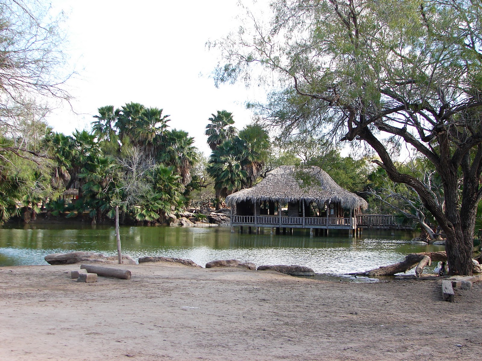 Gypsies At Heart: Rancho El Charco, LaJoya, Texas