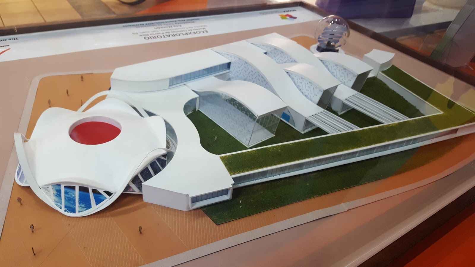 EcoExploratorio celebra aniversario de exhibición Oceánica - Puerto ...