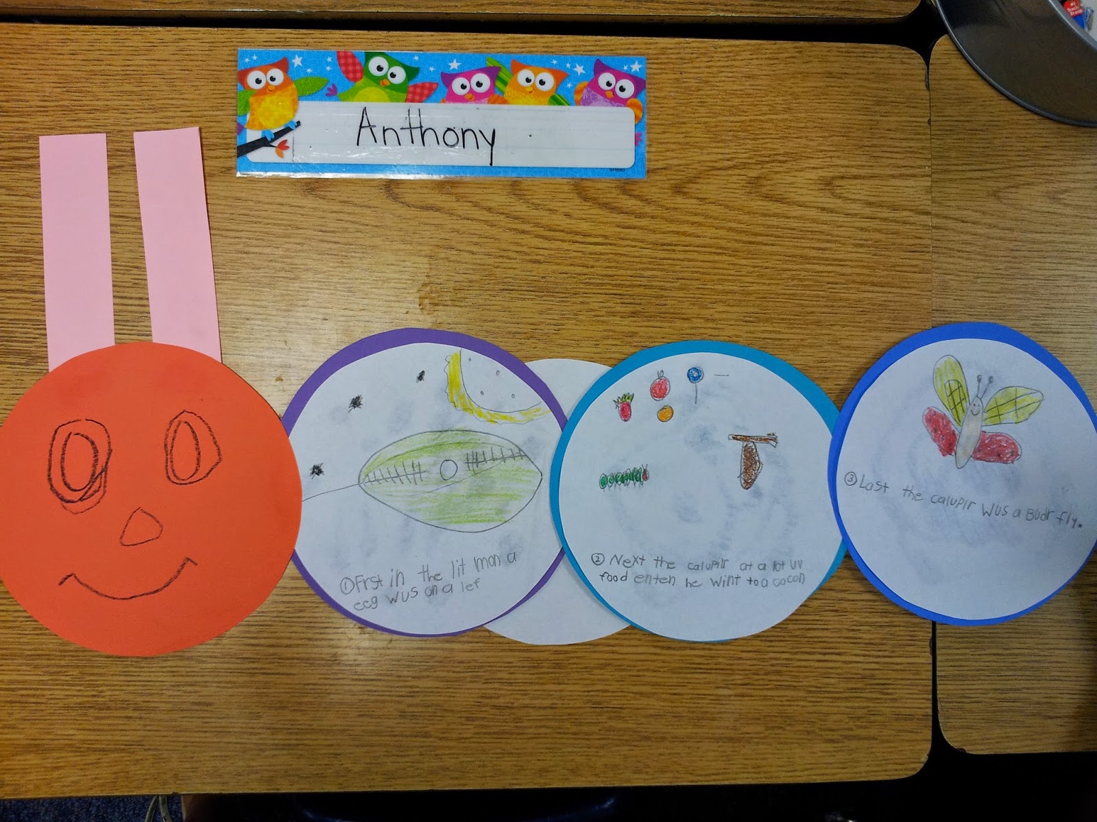 littlecubliteracy: The Very Hungry Caterpillar